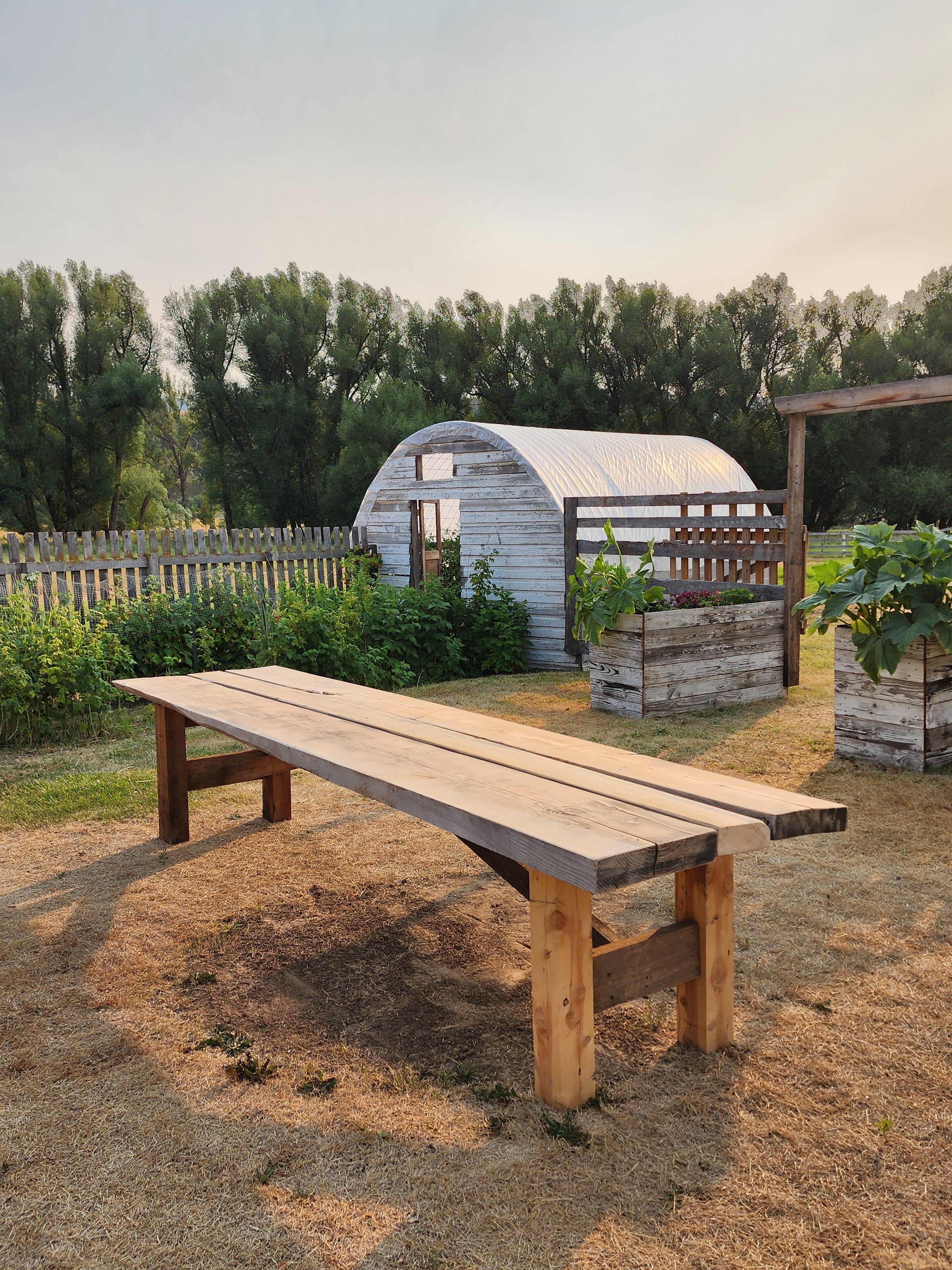 Gardening Tips – Timber Bronze