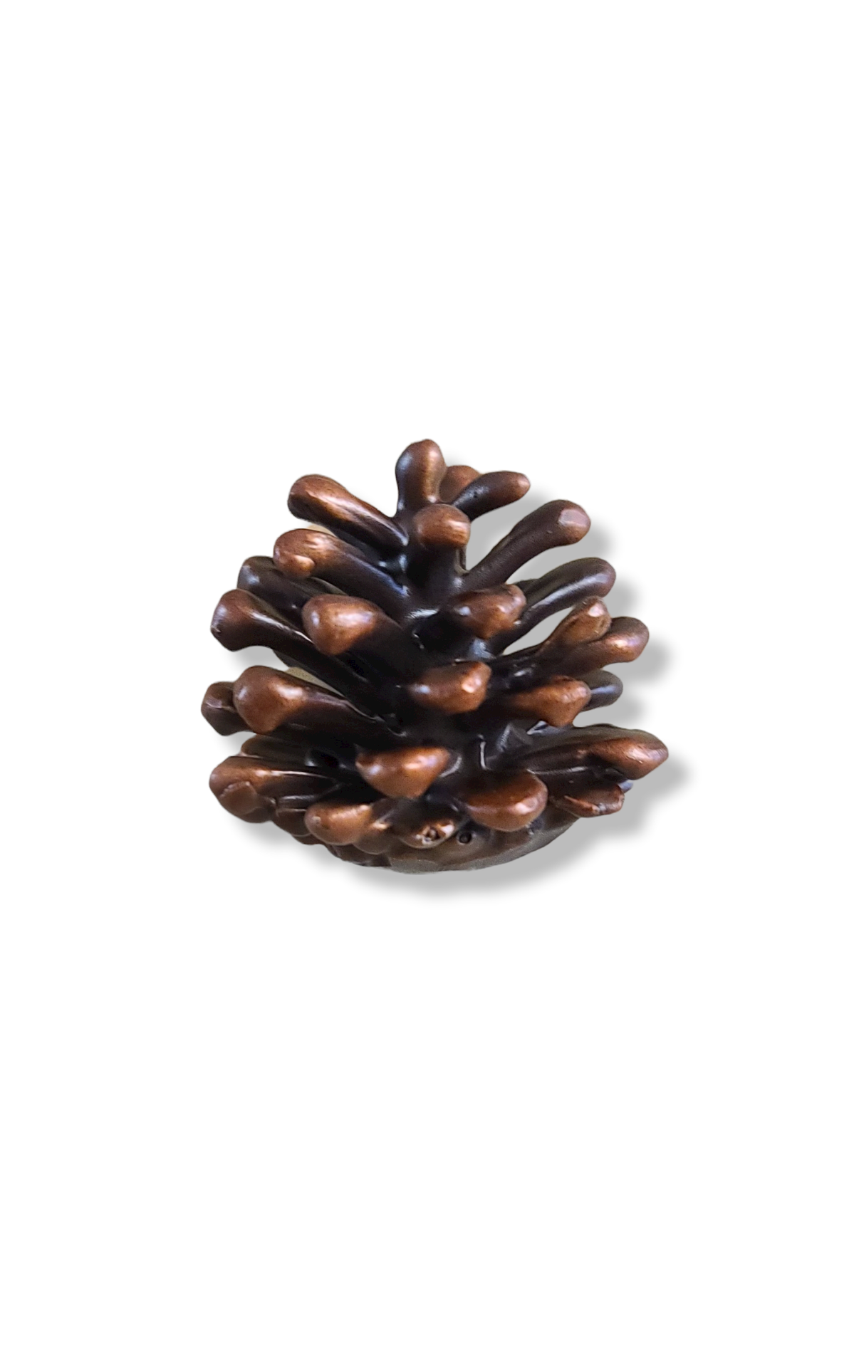 Lodgepole Pinecone Vertical Knob | Bronze Cabinet Knob – Timber Bronze
