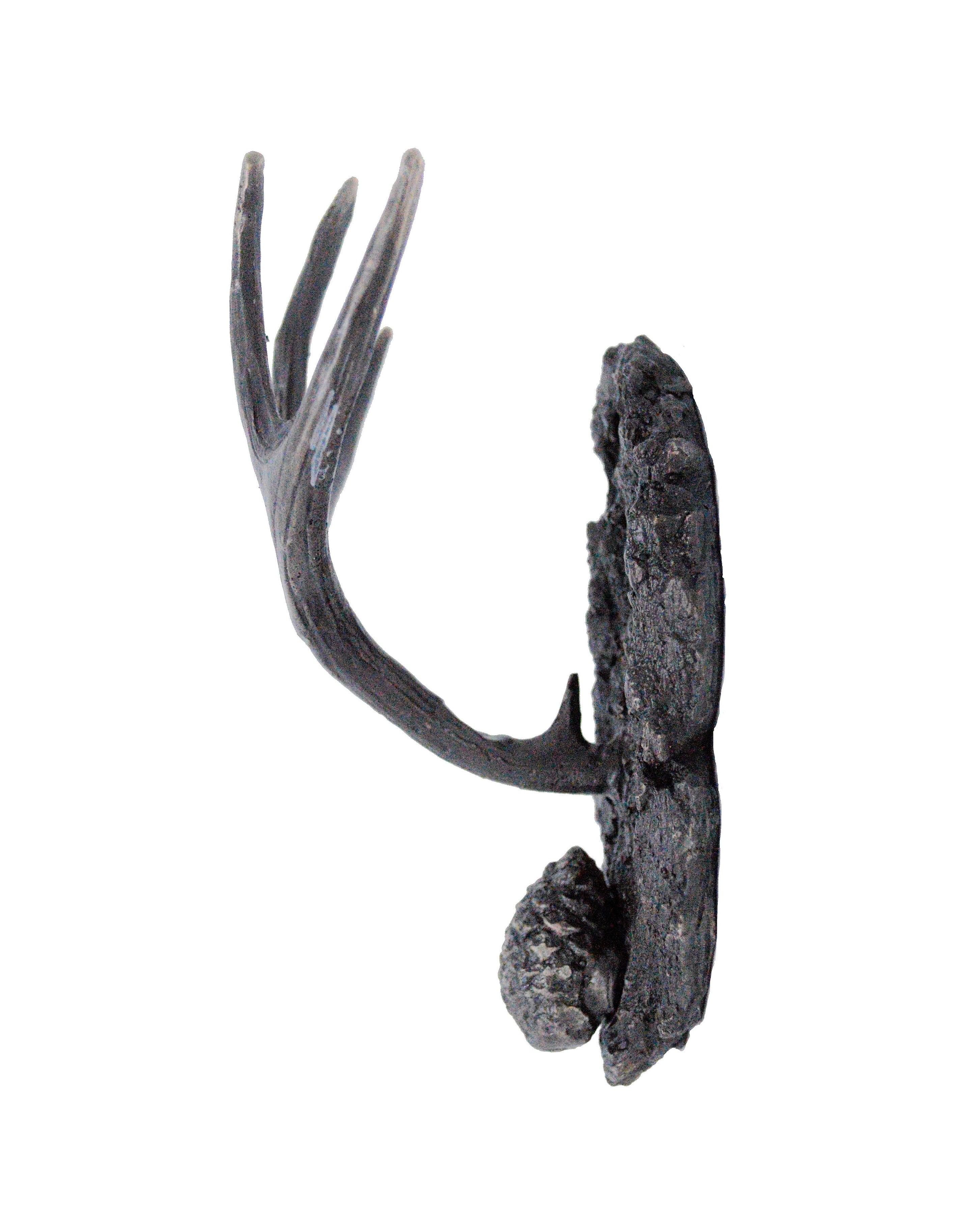 Mule Deer Antler Hook | Custom Bronze Antler Hook – Timber Bronze